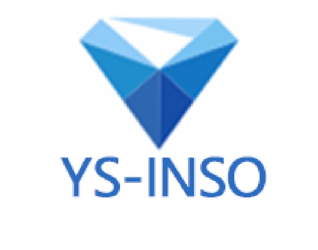 INSO (INCREDIBLE SOLUTION) HK LIMITED - Company Profile